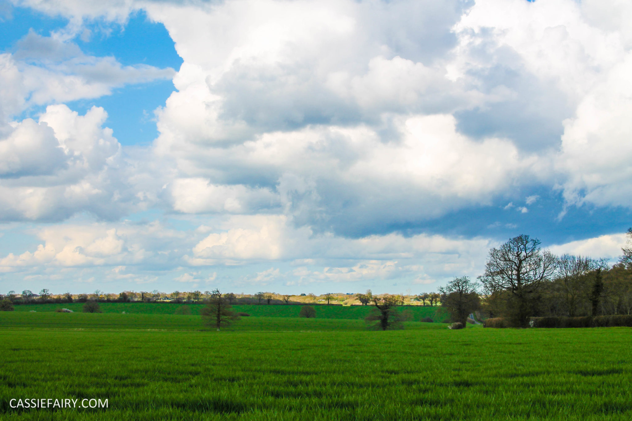 Free weekend activity – Wild flower walk | My Thrifty Life by Cassie ...