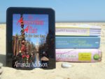 An Amsterdam Affair book launch & interview with author Amanda Addison ...