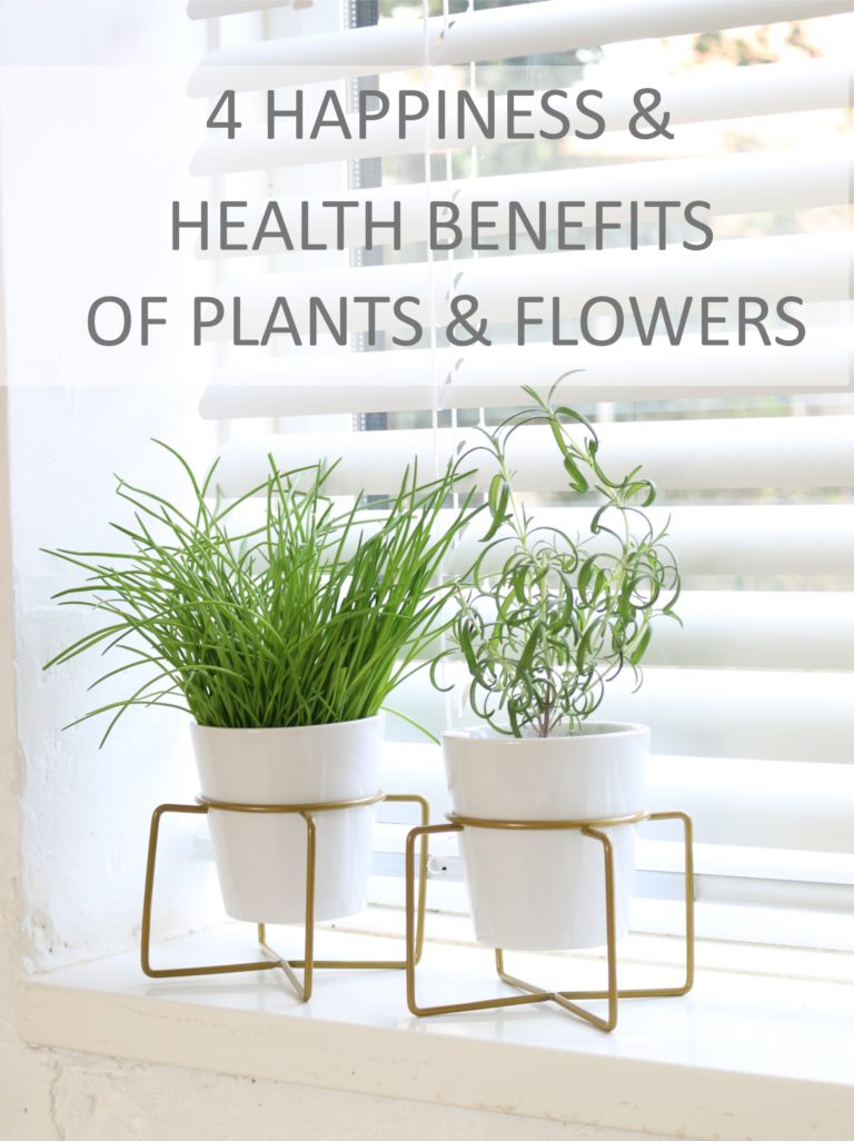 4 Health & happiness benefits of plants + flowers | My Thrifty Life by ...