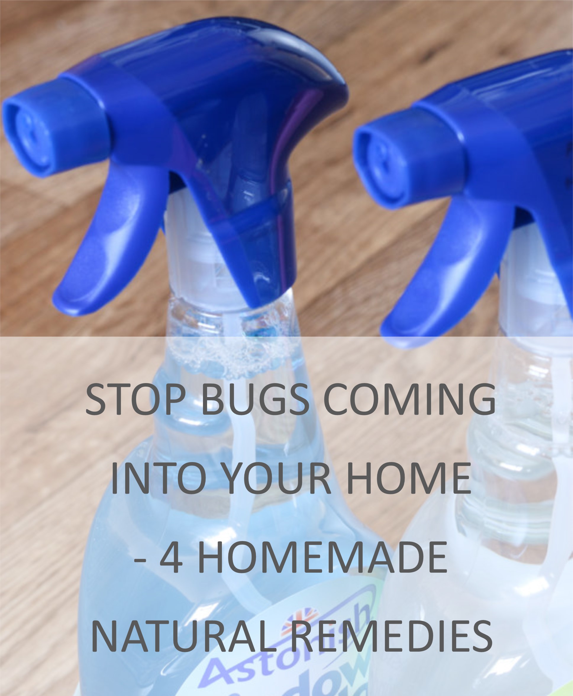 4 Natural homemade remedies to stop bugs coming into your home | My ...