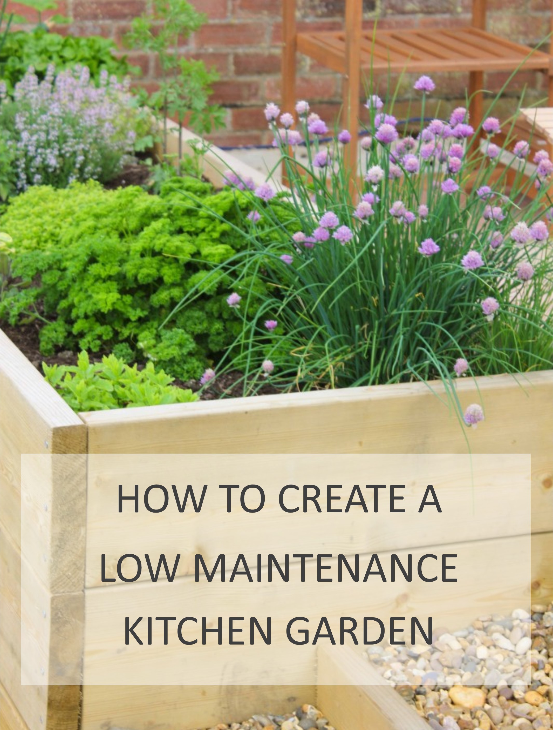 How to create a low-maintenance kitchen garden | My Thrifty Life by ...