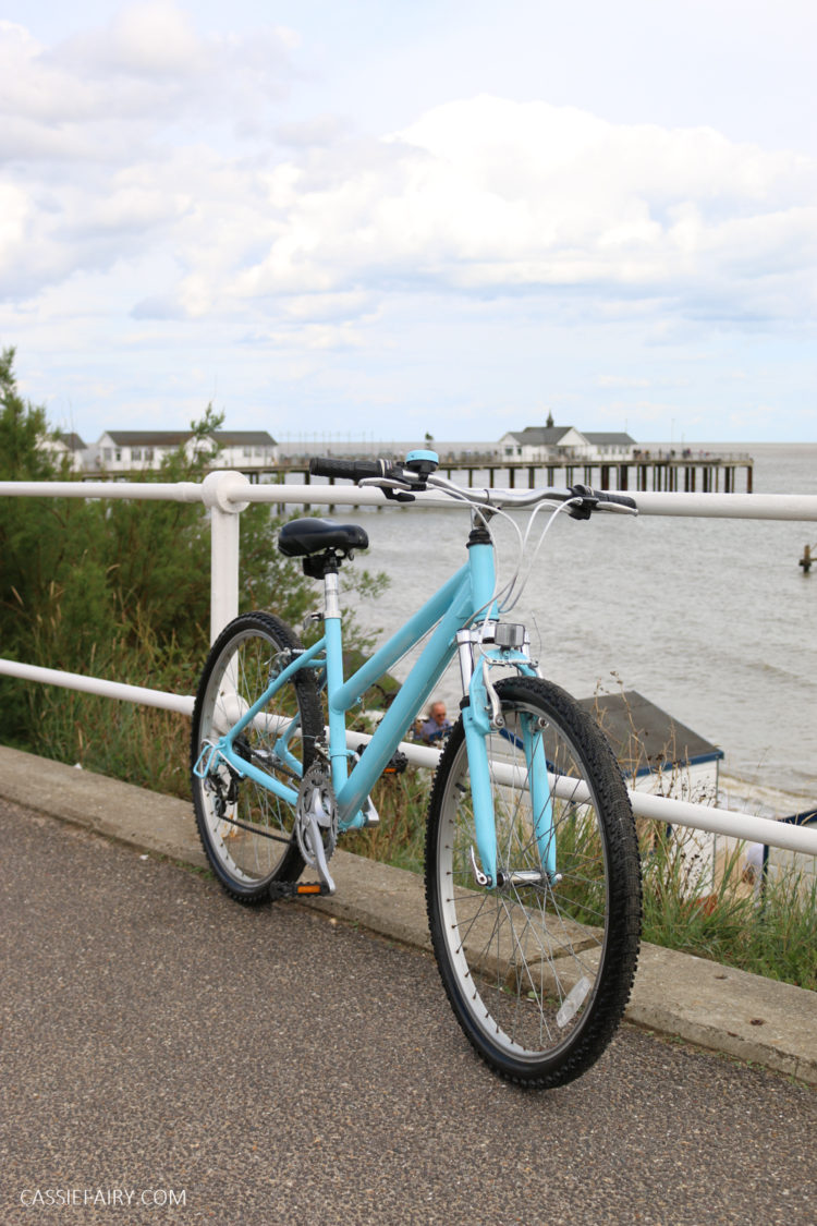 How to turn a rusty old bike into your dream bicycle | My Thrifty Life ...