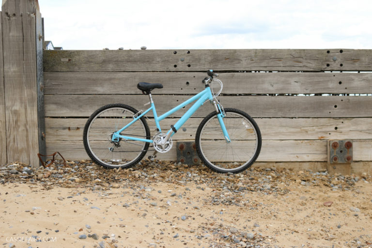 How to turn a rusty old bike into your dream bicycle | My Thrifty Life ...
