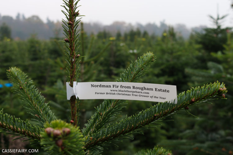 4 Sustainable (& fun!) reasons why you should buy a local Christmas ...