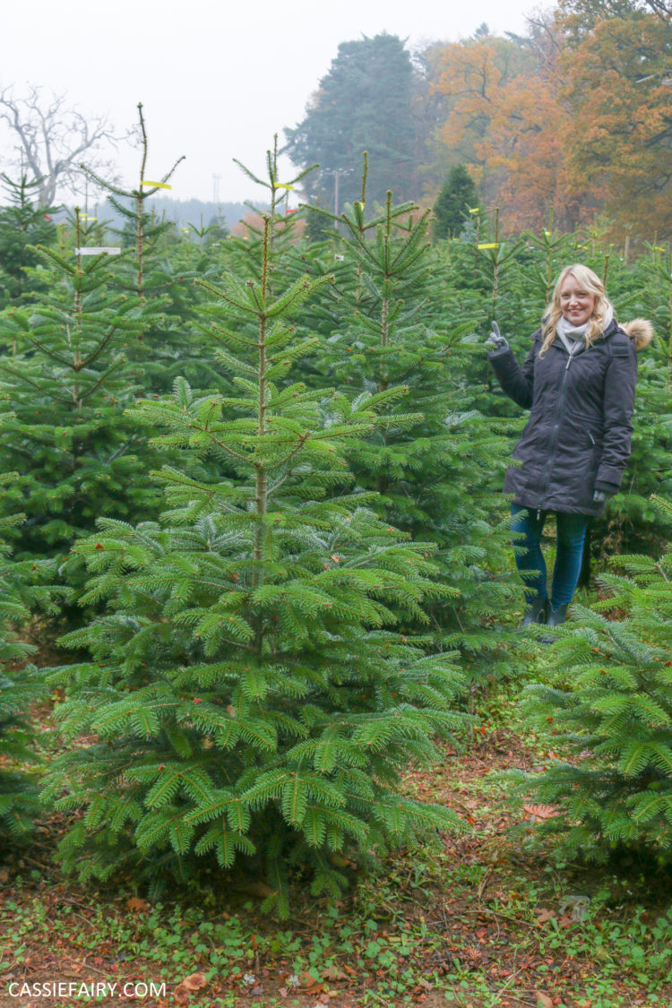 4 Sustainable (& fun!) reasons why you should buy a local Christmas ...