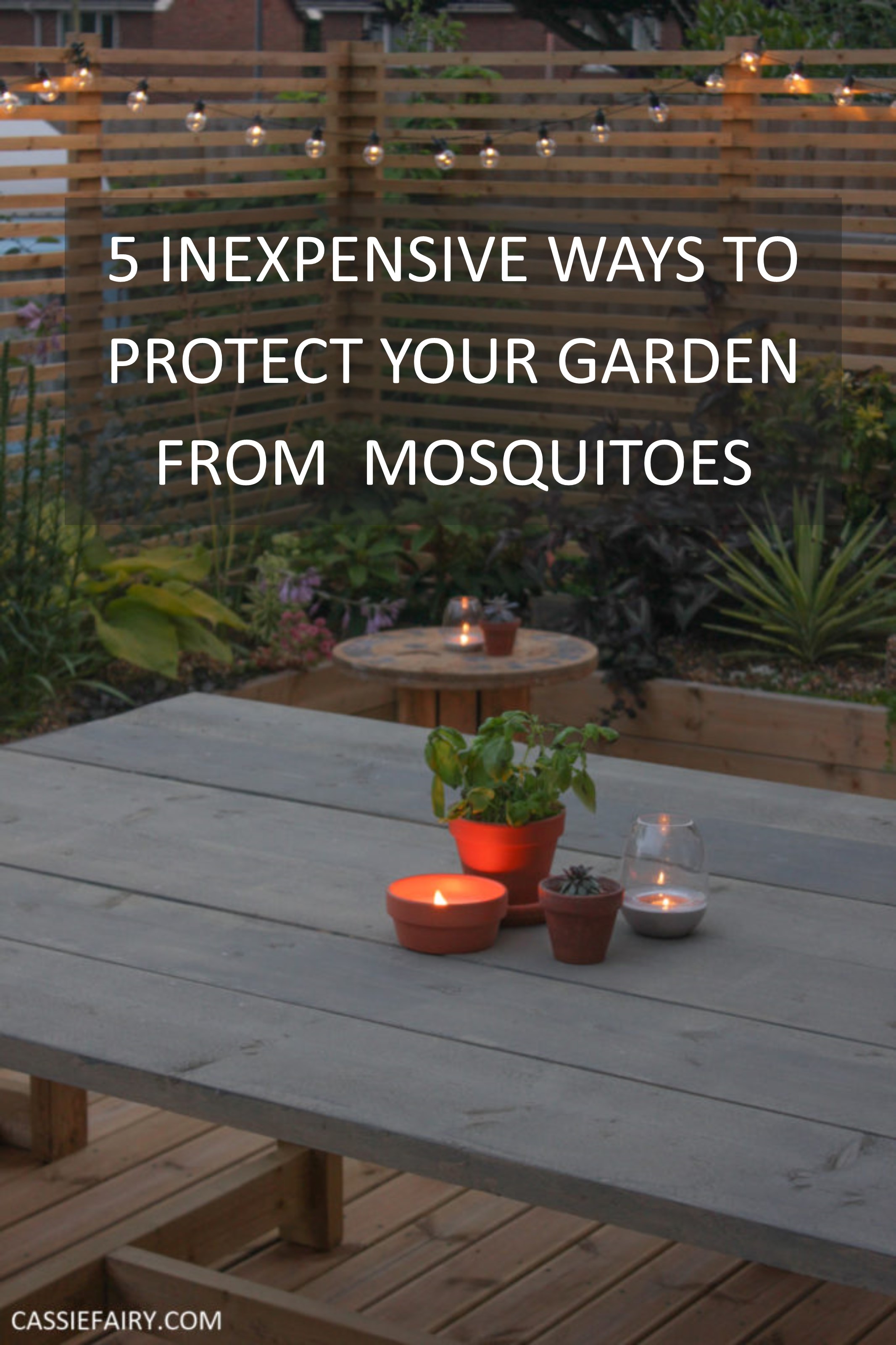 5 Inexpensive ways to protect your garden from mosquitoes this summer ...