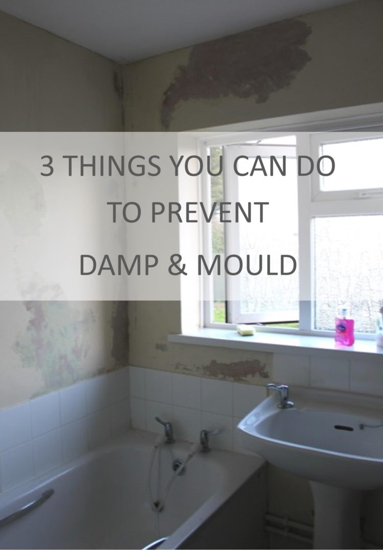 3 Things you can do right now to prevent dampness and mould in your ...