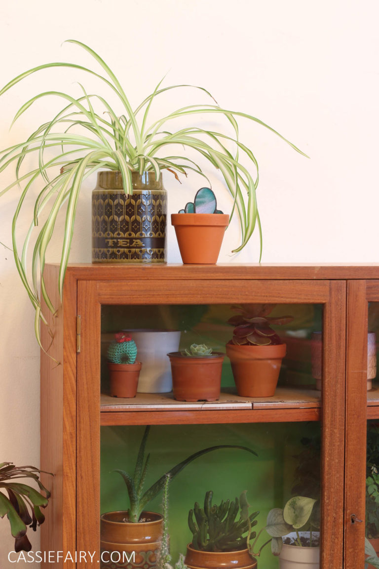 How to upcycle a mid-century cabinet into an indoor plant nursery | My ...