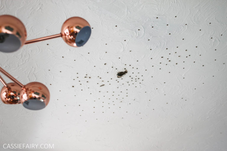 How to survive a DIY disaster – & now my kitchen ceiling is a sieve ...