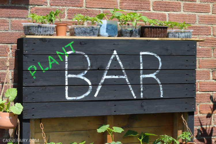 How I repurposed my original pallet bar project to create a plant bar ...