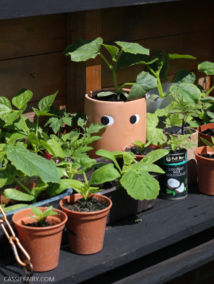 How I repurposed my original pallet bar project to create a plant bar ...