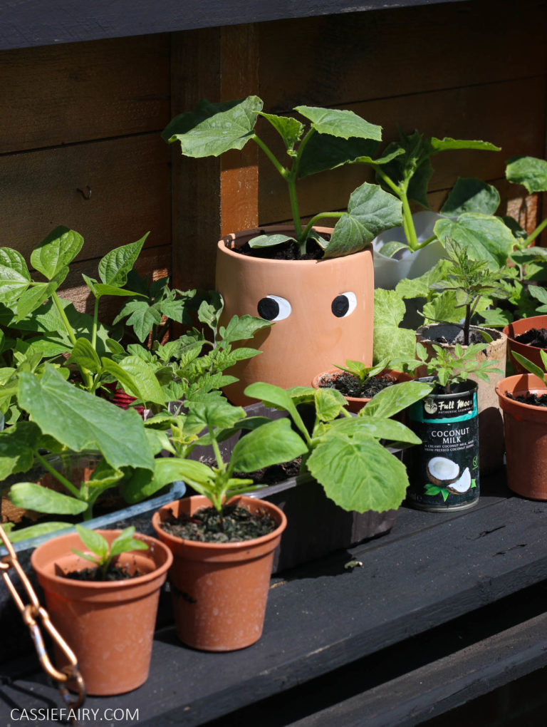 How I repurposed my original pallet bar project to create a plant bar ...