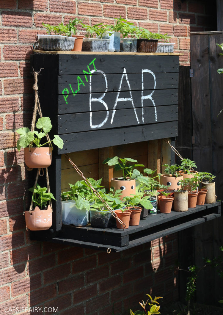 How I repurposed my original pallet bar project to create a plant bar ...