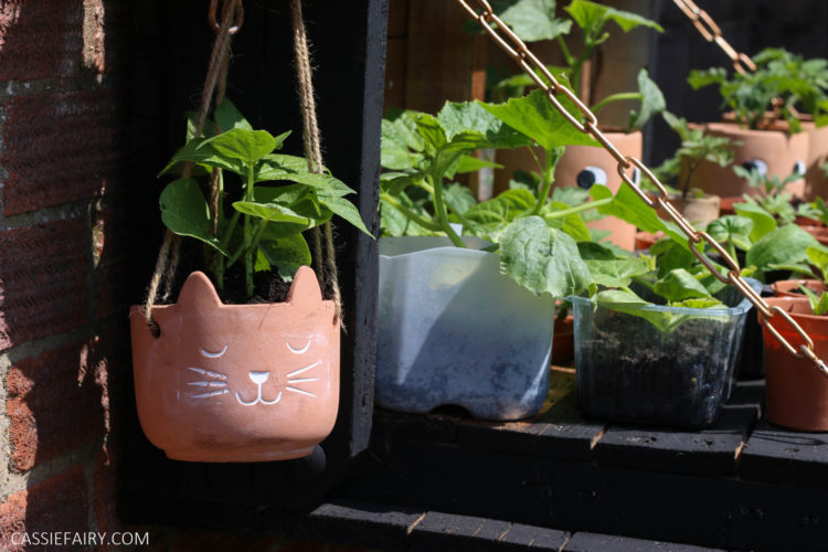 How I repurposed my original pallet bar project to create a plant bar ...