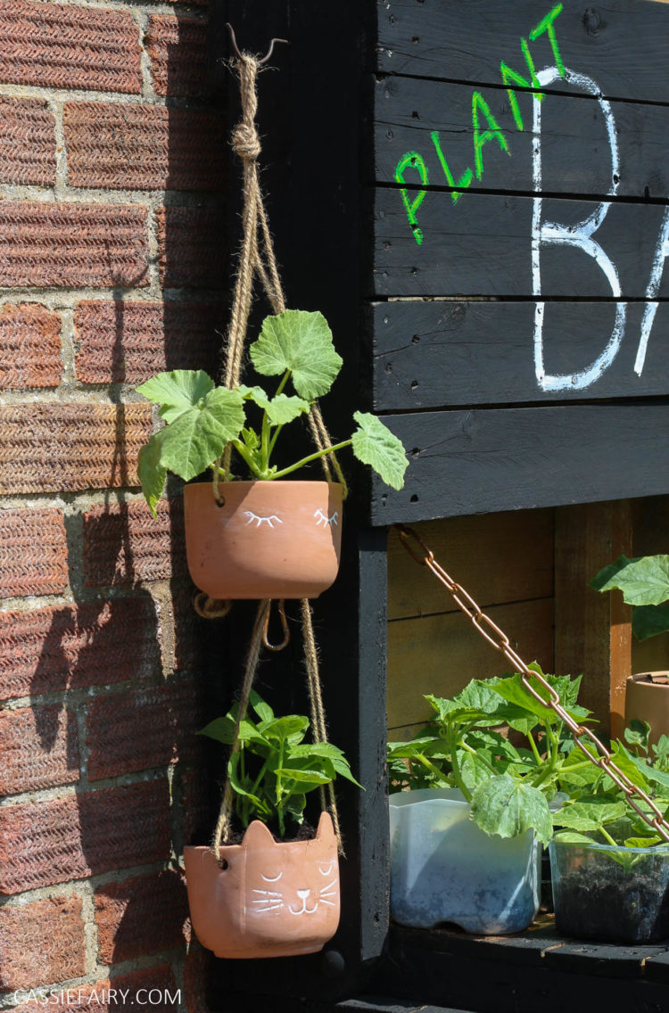 How I repurposed my original pallet bar project to create a plant bar ...