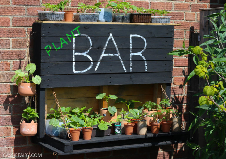 How I repurposed my original pallet bar project to create a plant bar ...