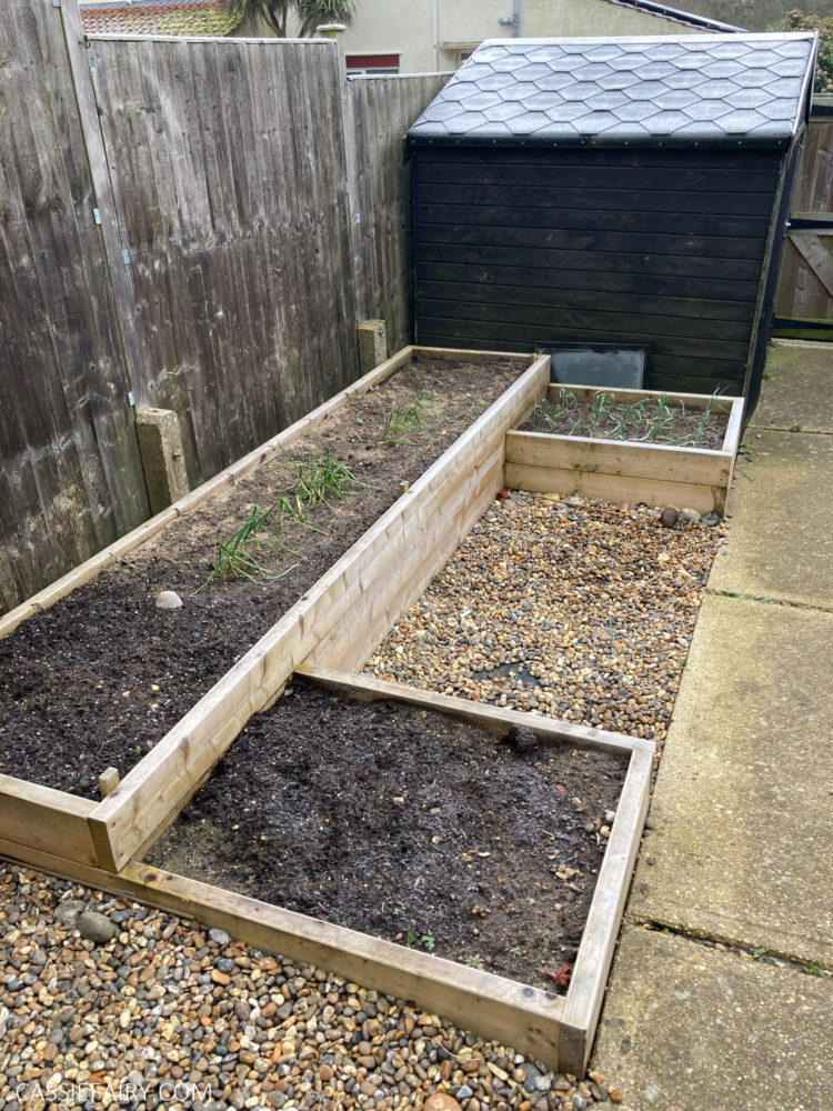 My ‘grow-your-own’ vegetable garden – 2020 update and January 2021 ...