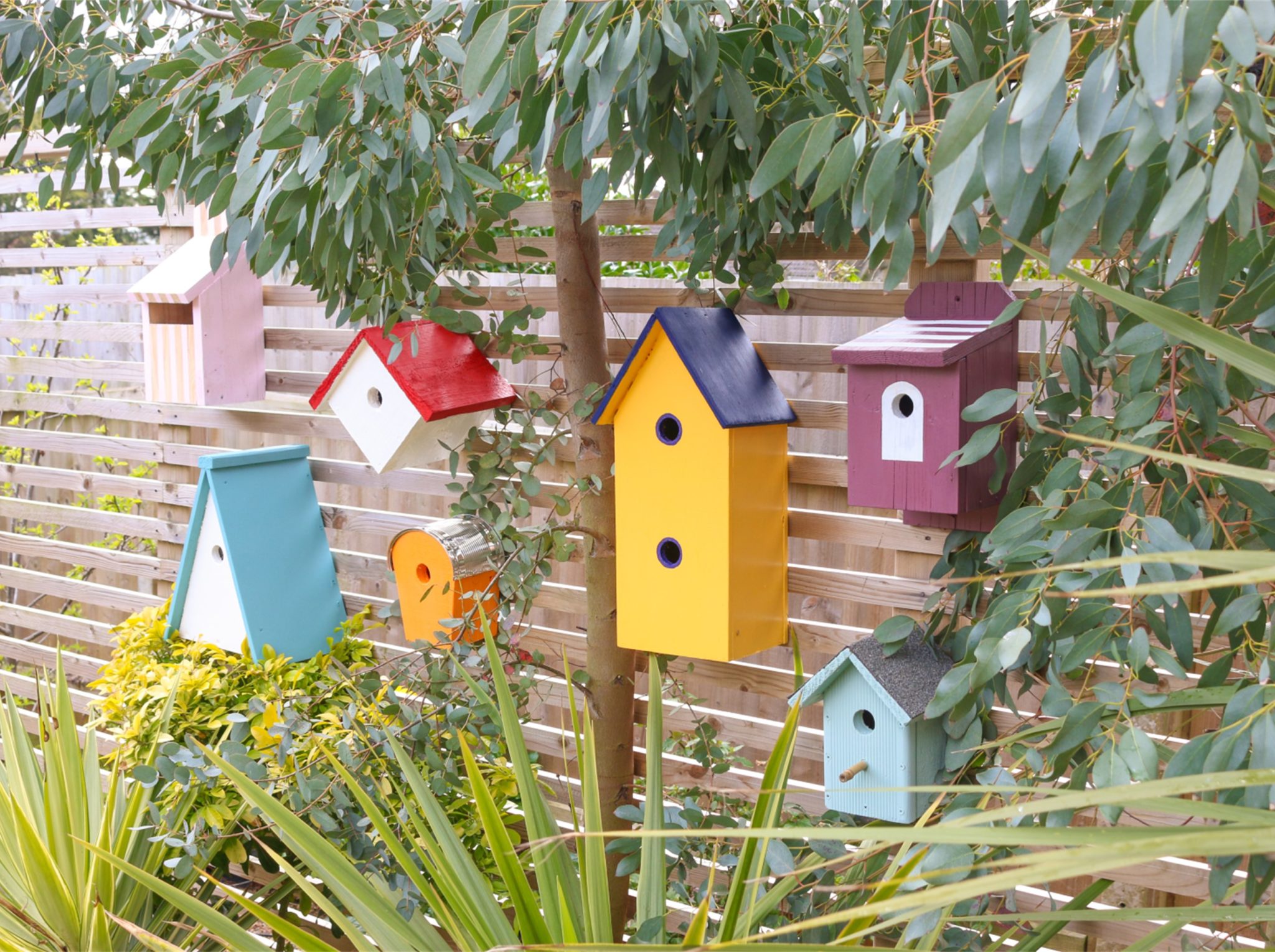 How to upcycle nesting boxes into a colourful cluster of ‘bird ...