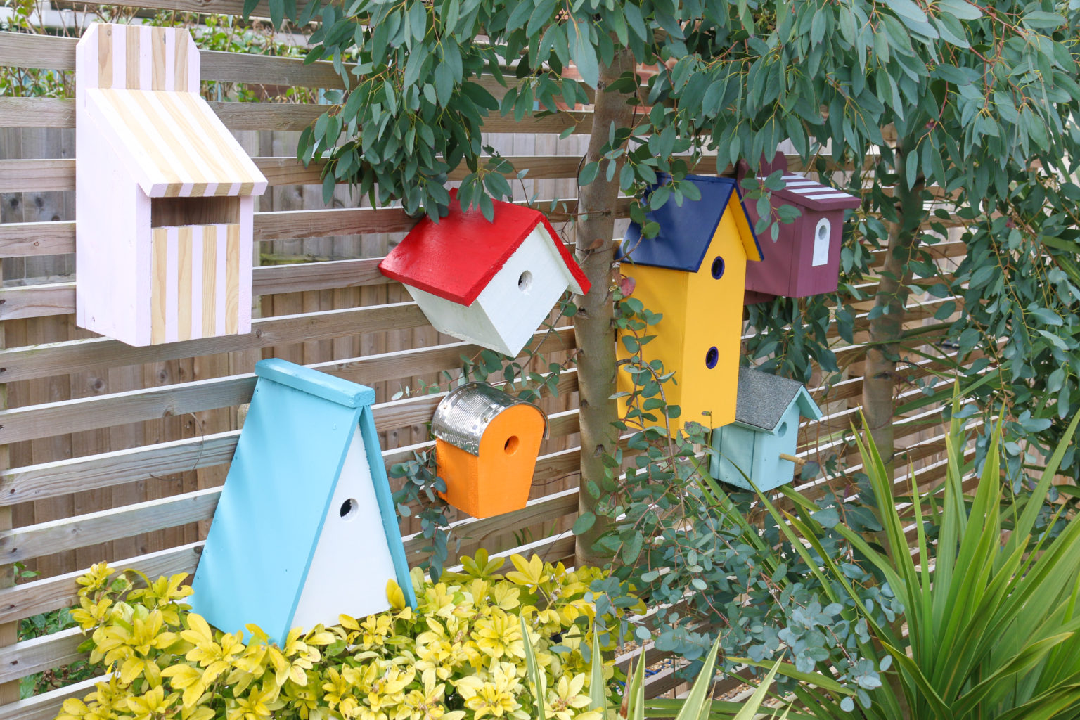 How to upcycle nesting boxes into a colourful cluster of ‘bird ...