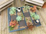How to create a cosy autumn garden with this upcycled living coffee ...