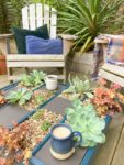 How to create a cosy autumn garden with this upcycled living coffee ...