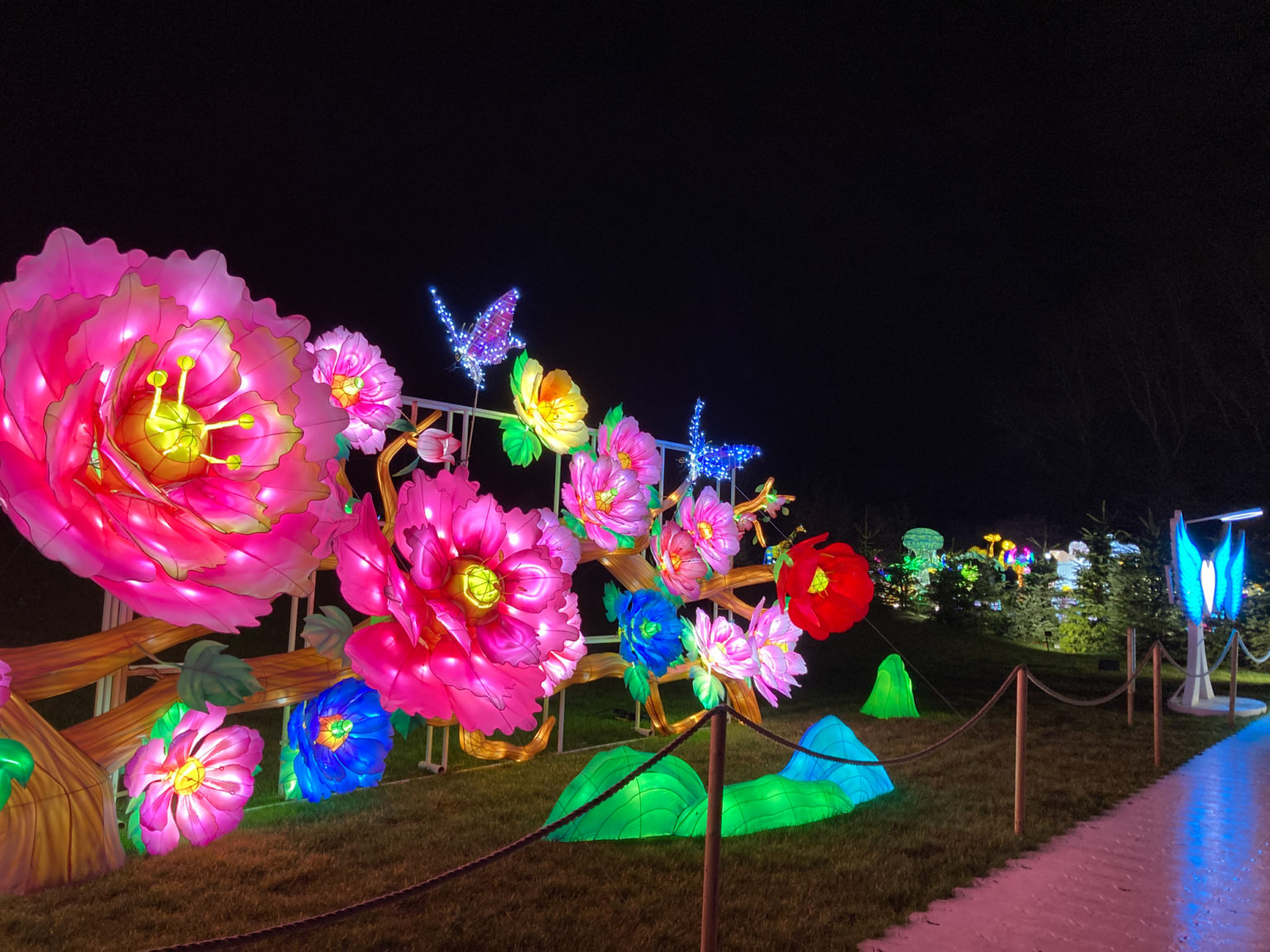 6 Fun festive activities that you can enjoy at home and outdoors | My ...