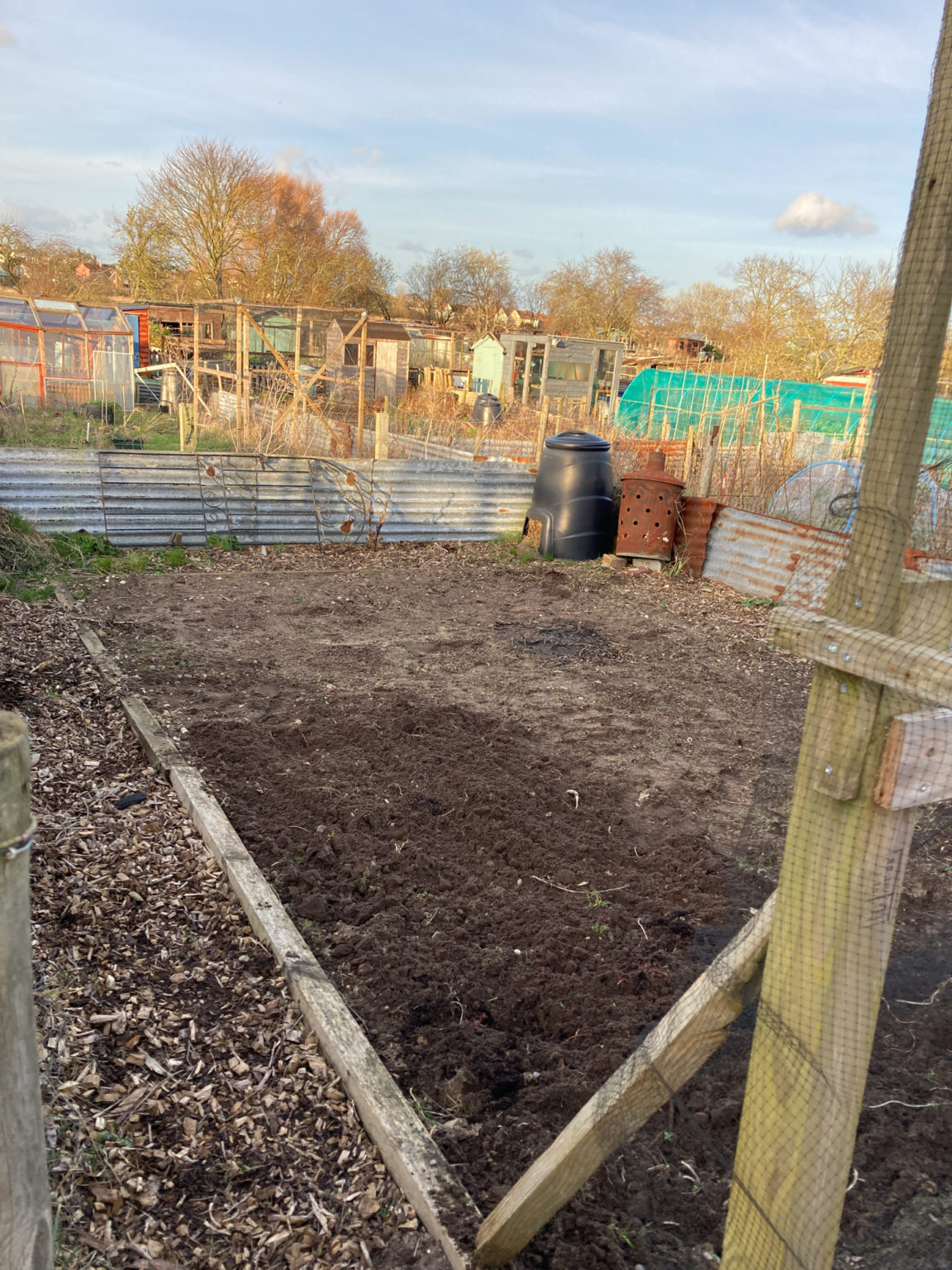 Allotment love – Getting my first ever veg plot and making planting ...