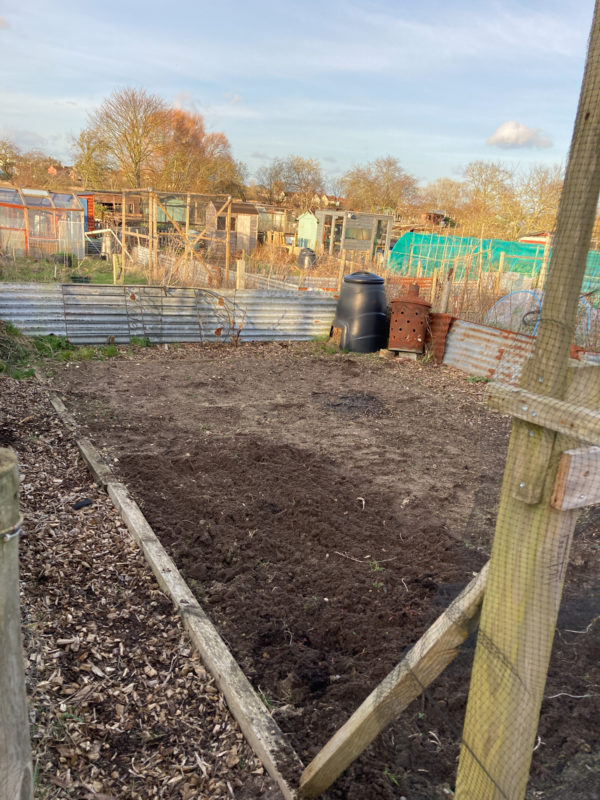 Allotment love – Getting my first ever veg plot and making planting ...