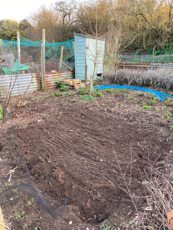 Allotment love – Getting my first ever veg plot and making planting ...
