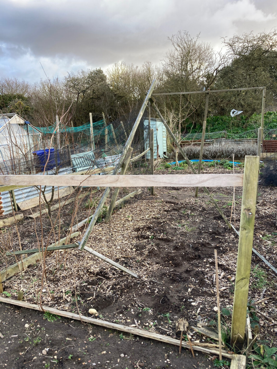 Allotment love – Getting my first ever veg plot and making planting ...