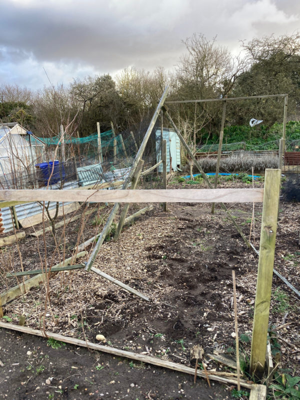 Allotment love – Getting my first ever veg plot and making planting ...