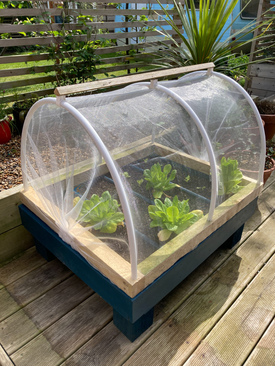 How to build an insect-proof mesh tunnel to prevent brassica massacre ...