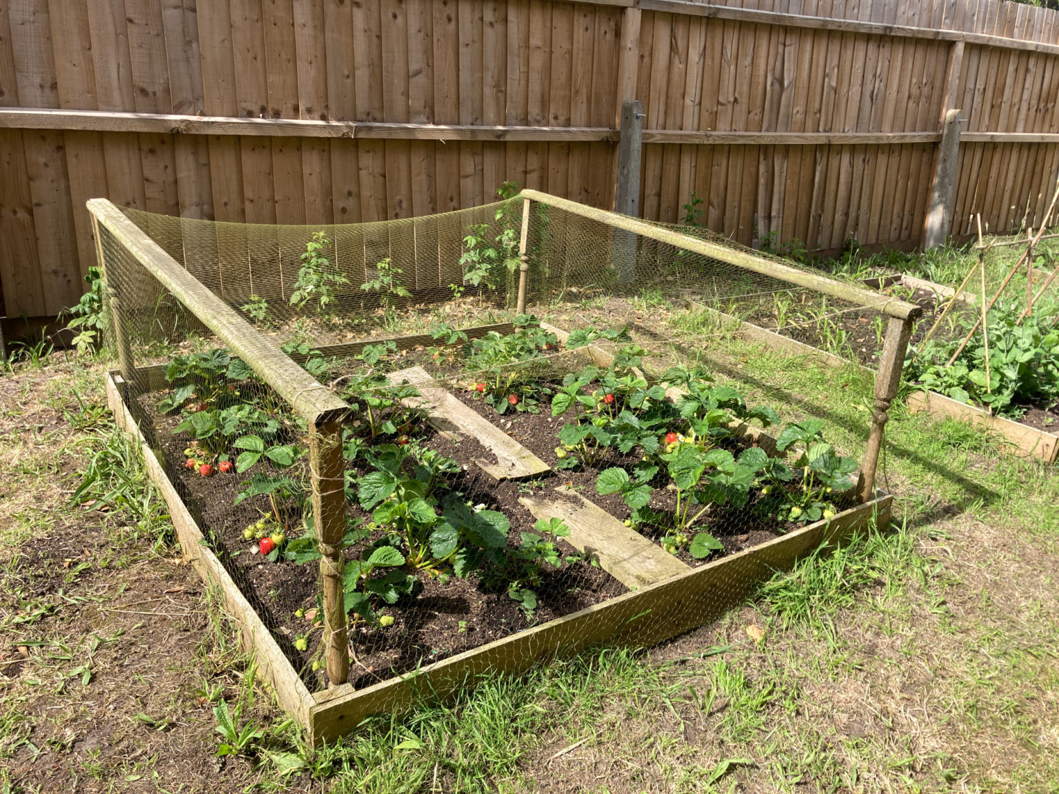 Allotment love – Why allotments are the most upcycling-friendly places ...