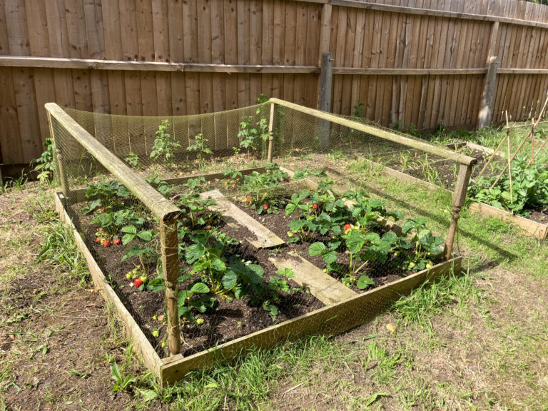 Allotment love – Why allotments are the most upcycling-friendly places ...