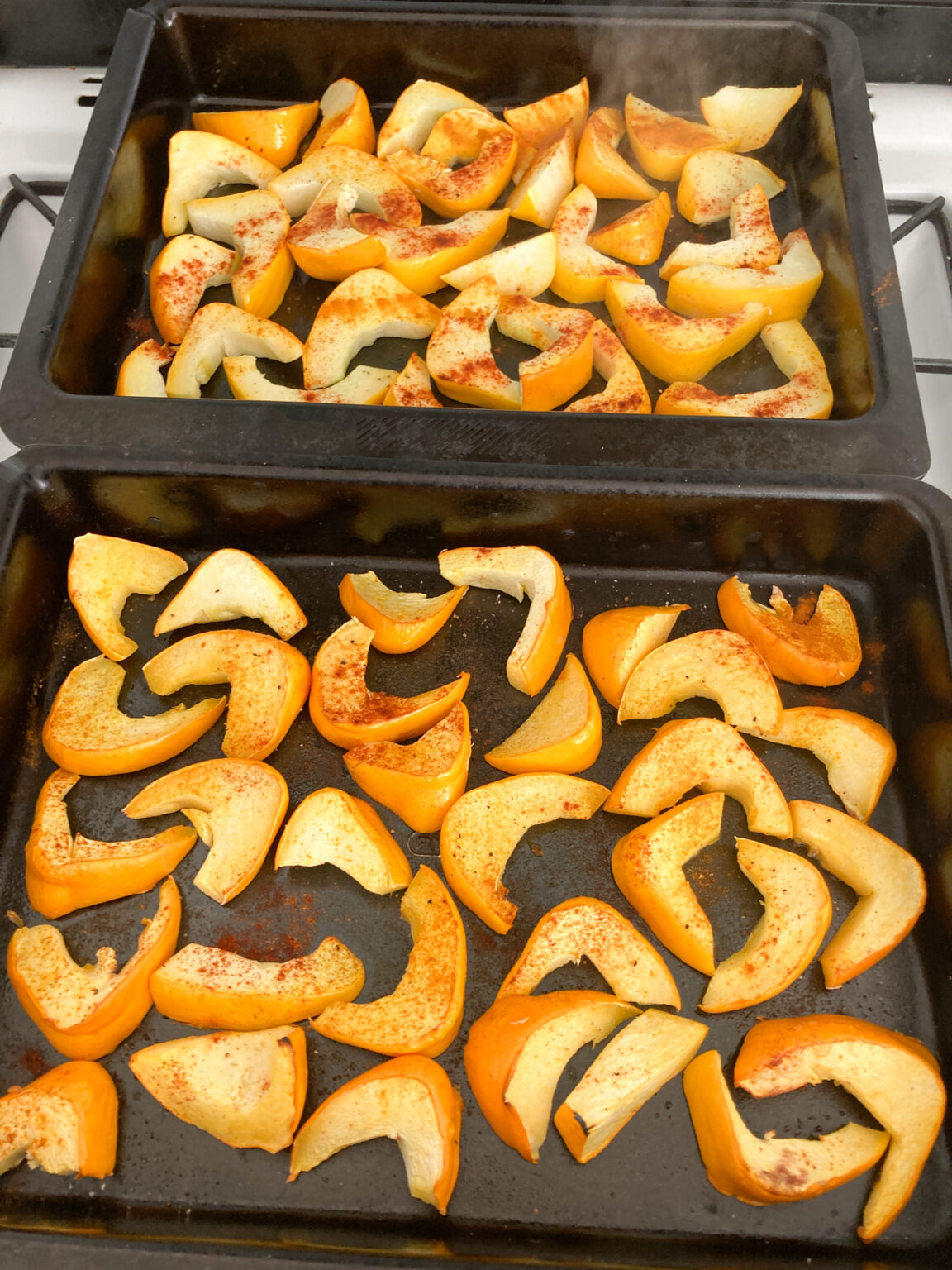 Allotment update: Making plum chutney, squash sauce and sundried ...