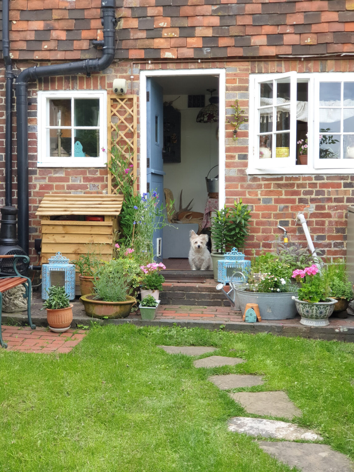 Home tour of a cosy country cottage with plenty of springtime style