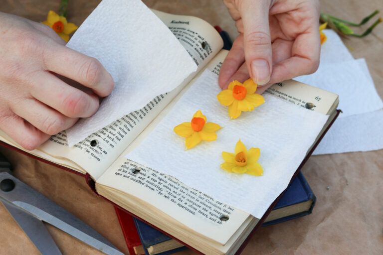 How to DIY a vintage flower press from old damaged books