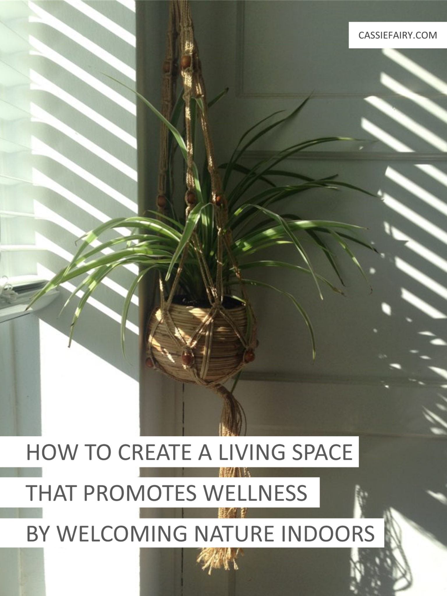 Create a living space that promotes wellness by welcoming nature indoors