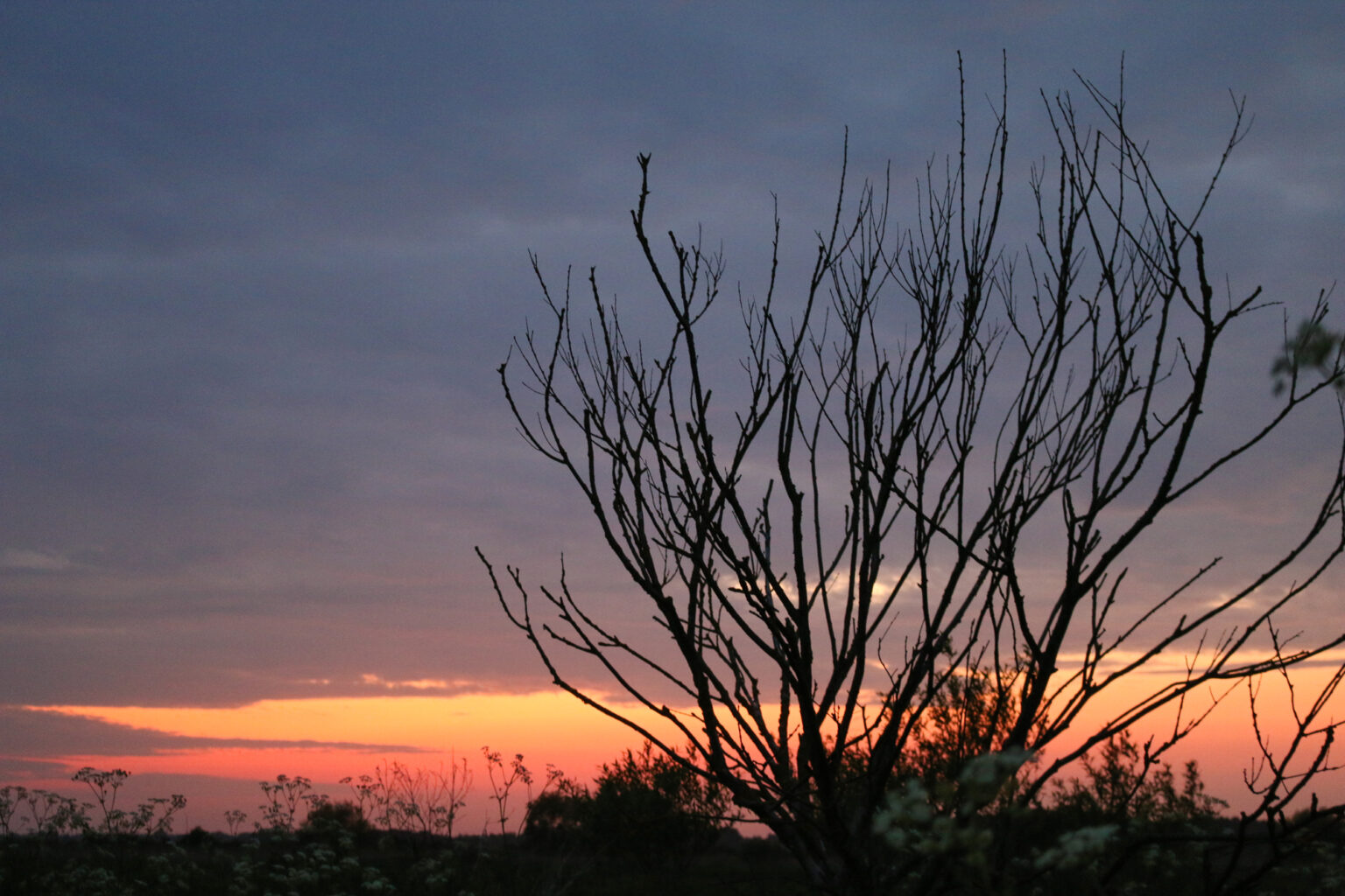 How rerouting neural pathways with EMDR can help improve your mental ...