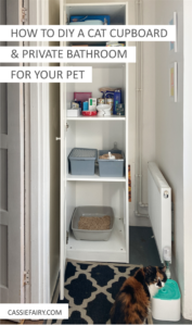 How to DIY a cat cupboard and private bathroom for your pet