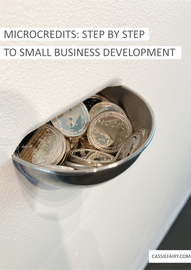 Microcredits: Step by step to small business development